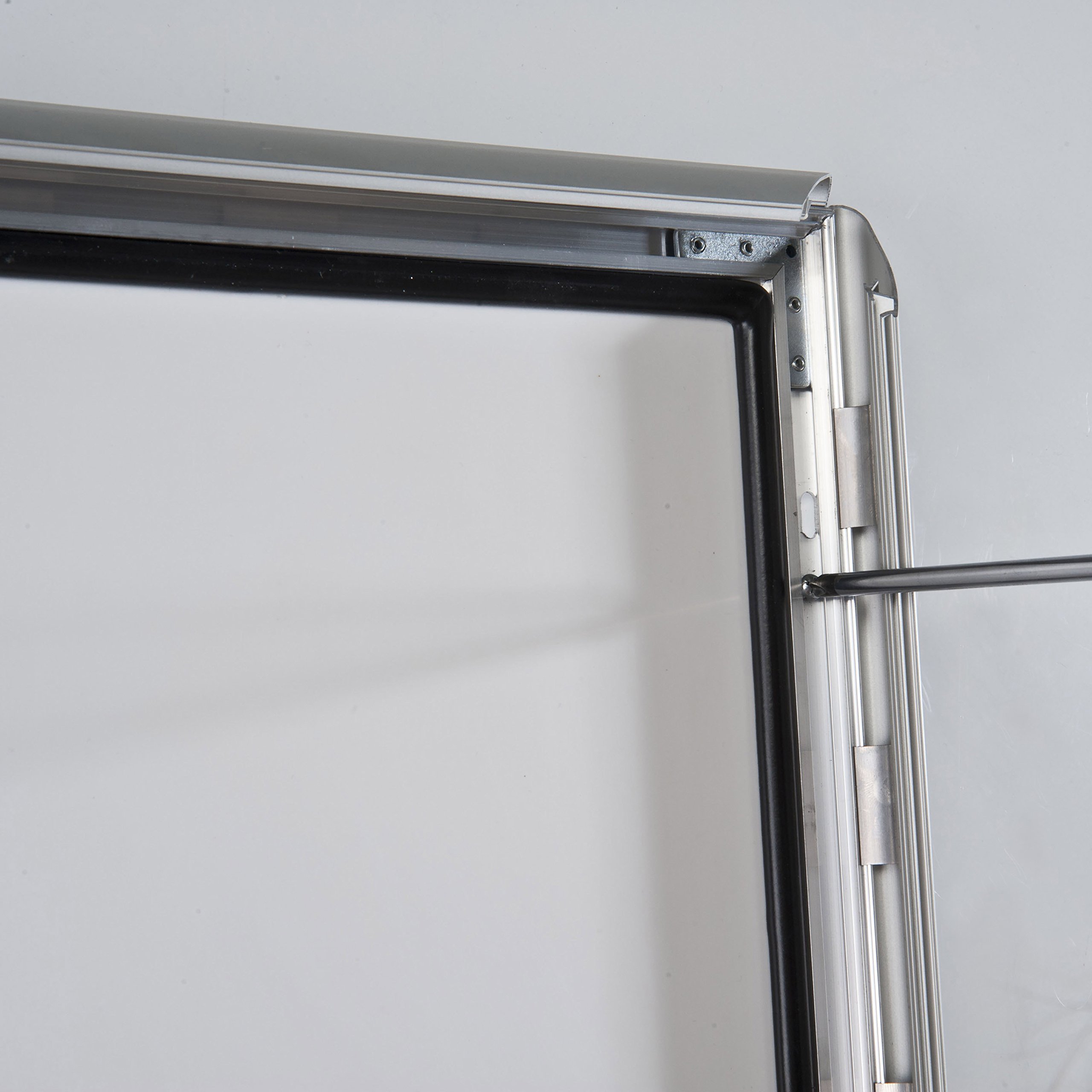 Lockable Poster Frame