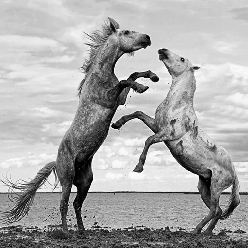 Mazdor - App on Amazon Appstore