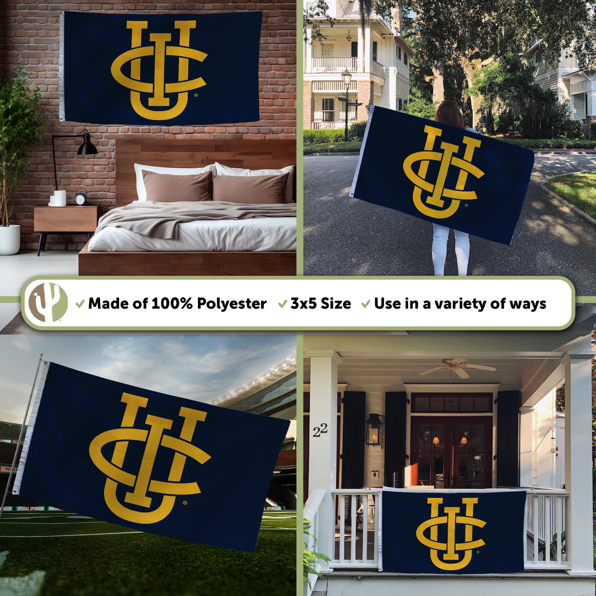 Uc Irvine Flag Memes