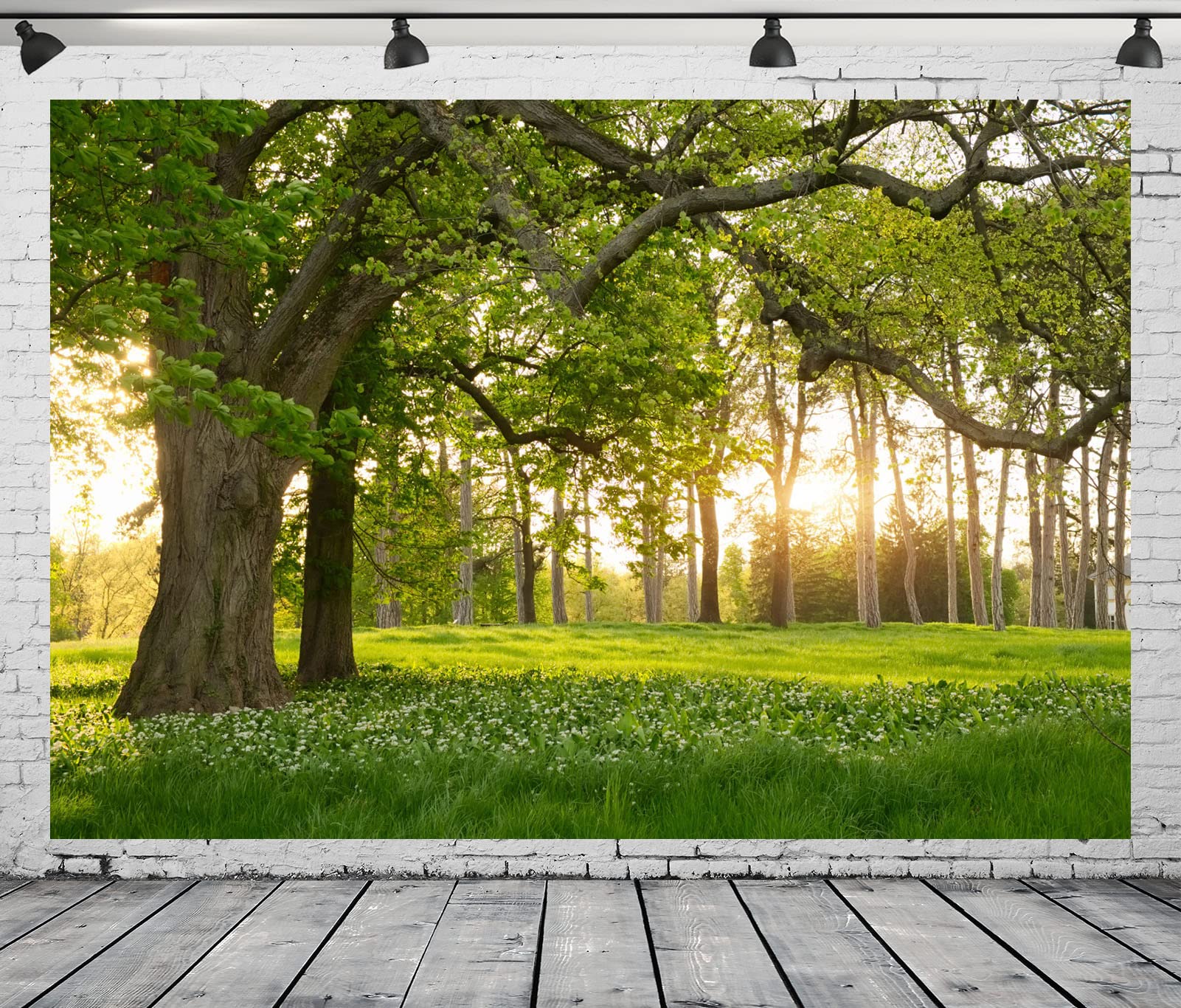 Studio Backgrounds For Kids