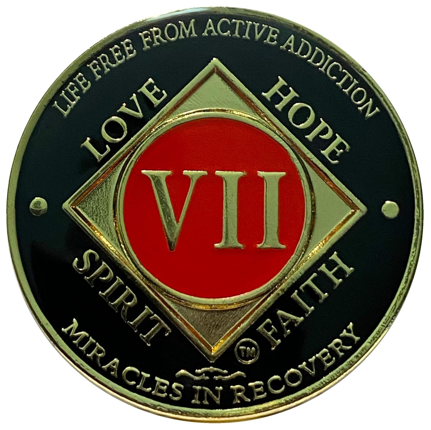 Amazon.com: NA 7 Year Gold Color Plated-Medallion, Recovery Token, NA ...