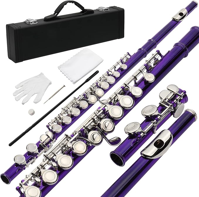 Amazon.com: Ktaxon C Closed Hole Flute 16 Keys Flutes Kit for Students ...