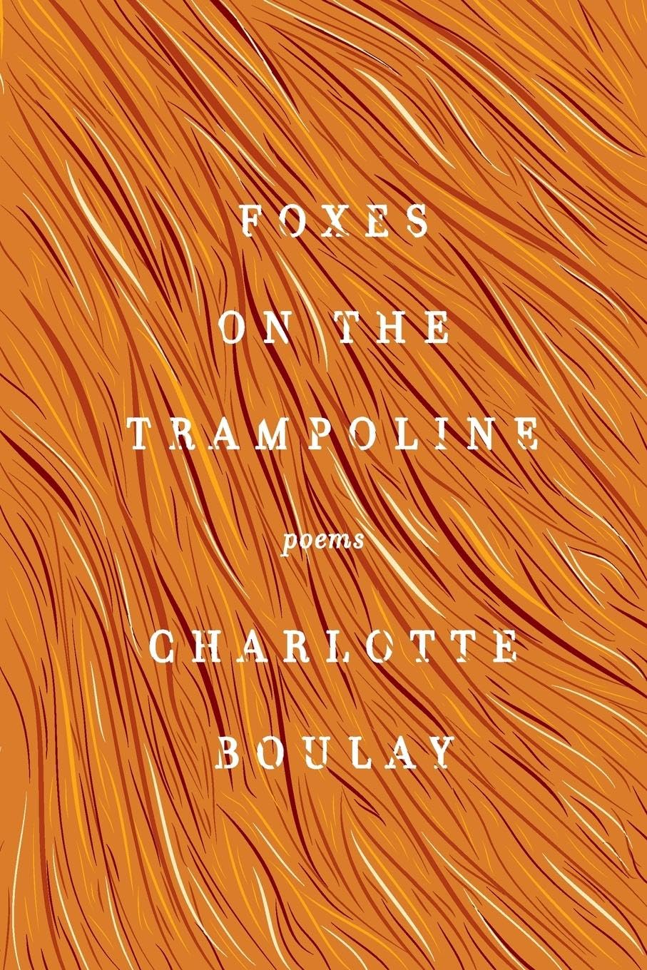 Foxes on the Trampoline: Poems: Boulay, Charlotte: 9780062302496 ...