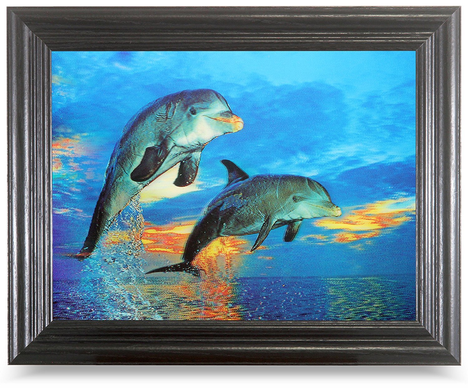Optical Illusion Pictures Dolphins