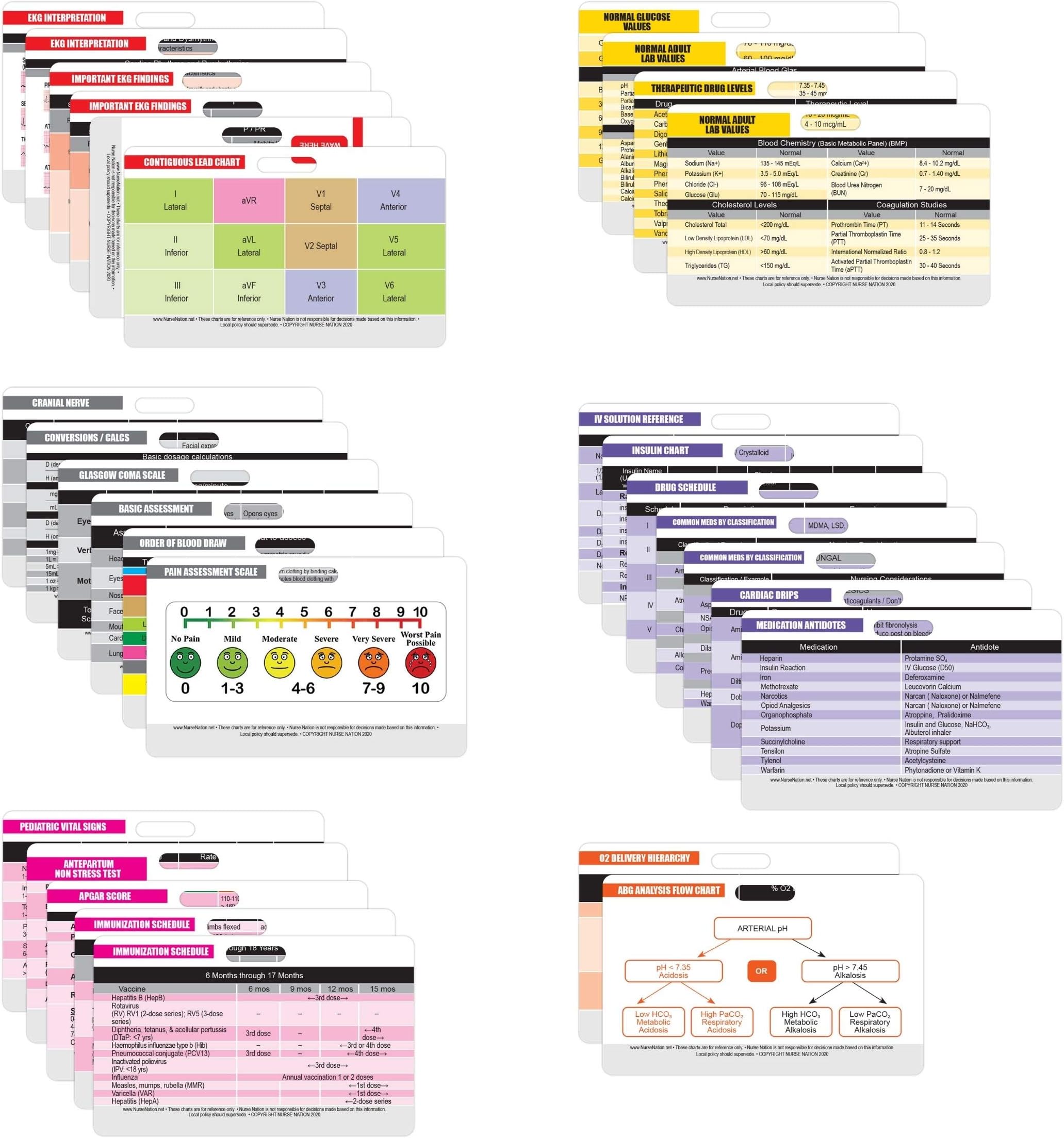 Nurse Nation 30 Horizontal Nursing Badge Reference Cards - Lab Values ...