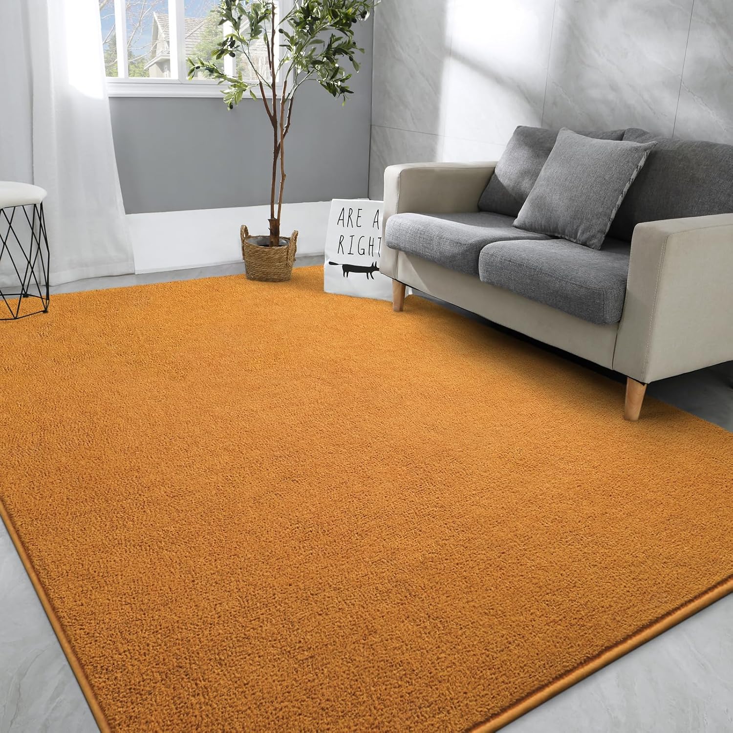 Amazon.com: Hutha Large Area Rugs for Bedroom Living Room, 6x9 Orange ...