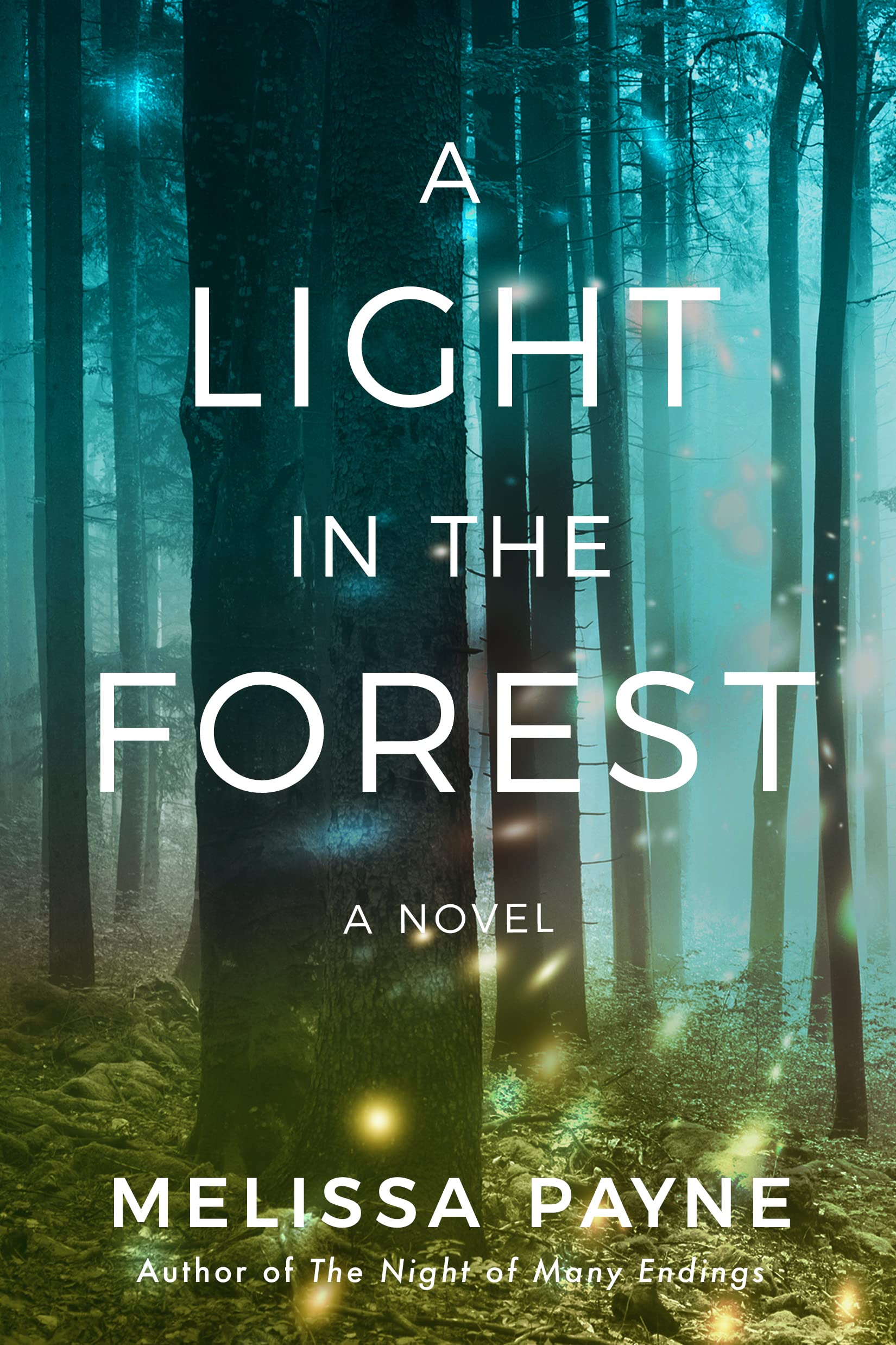 A Light in the Forest: A Novel: Payne, Melissa: 9781662503689: Amazon ...