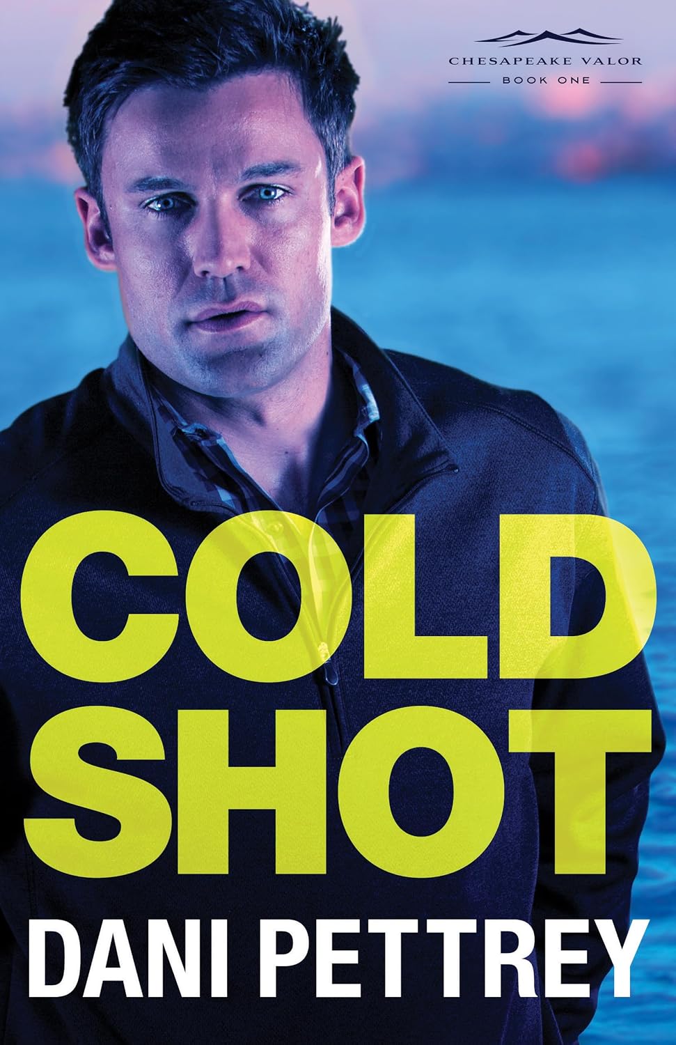 Cold Shot: An FBI Mystery Suspense Thriller Workplace Romance ...