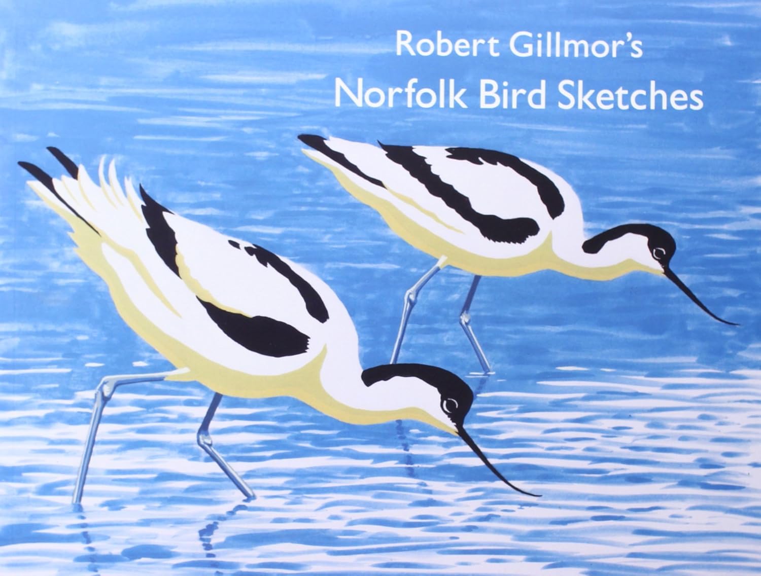 Robert Gillmor's Norfolk Bird Sketches: Gillmor, Robert: 9781910001035 ...