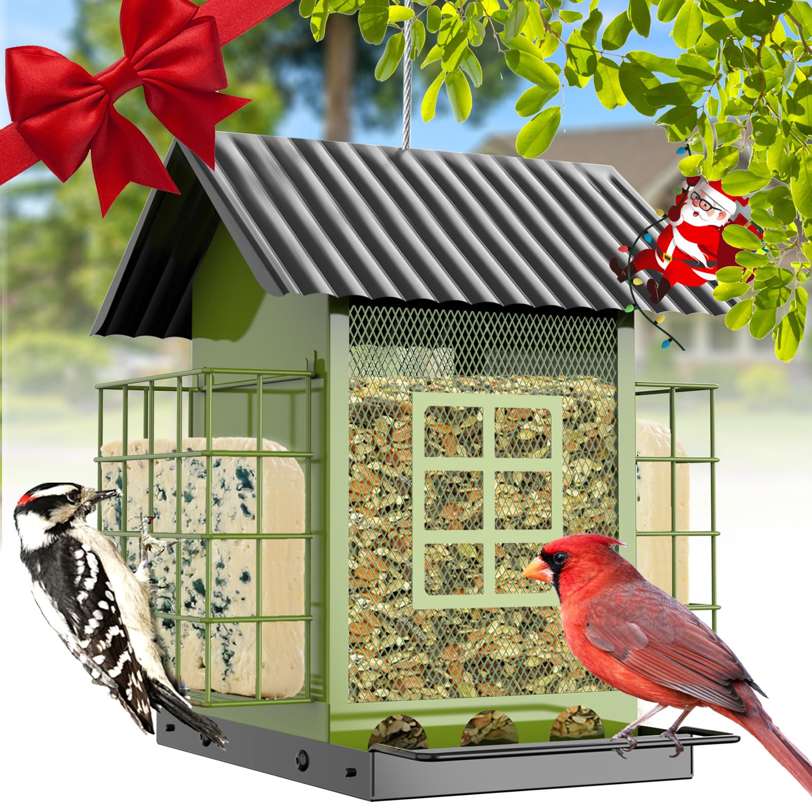 Amazon.com : Outdoor Hanging Metal Bird Feeder with Double Suet Cage ...
