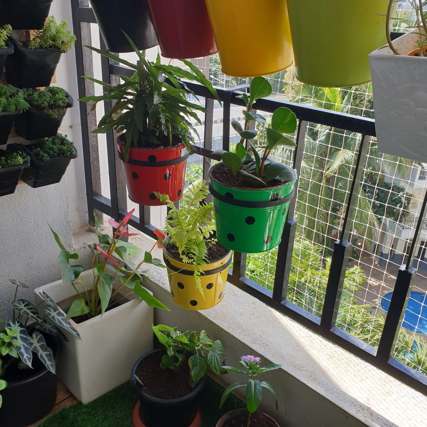 TrustBasket Triangle Pot stand for Railings with 3 Dotted Round ...