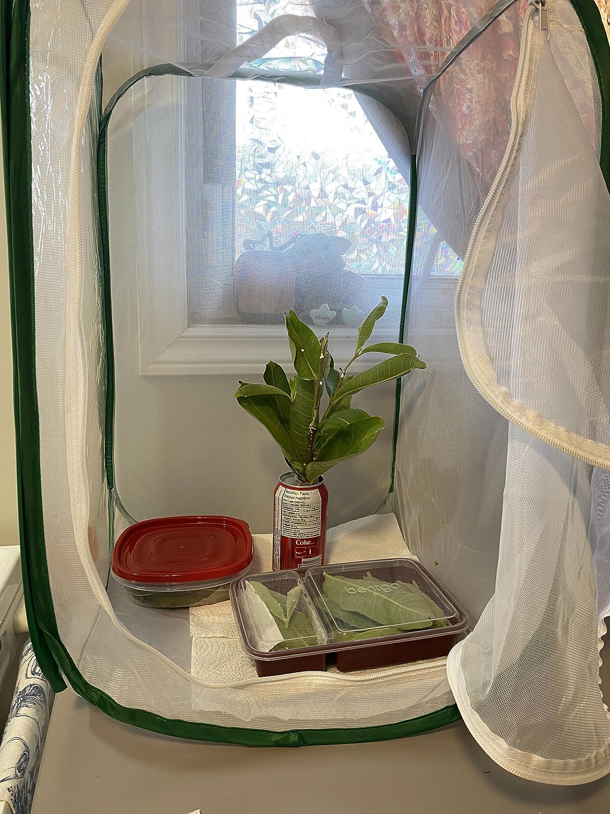 Portable Insects Butterfly Habitat Cage Multifunction Enclosure ...