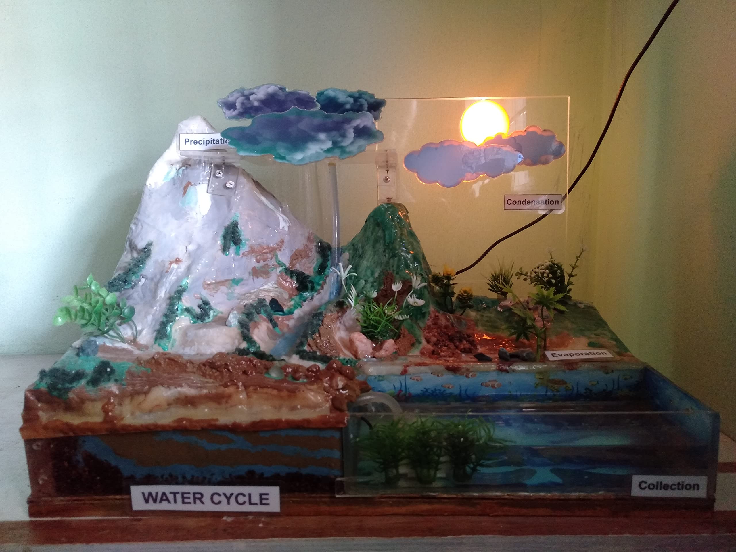 Water Cycle Working Model