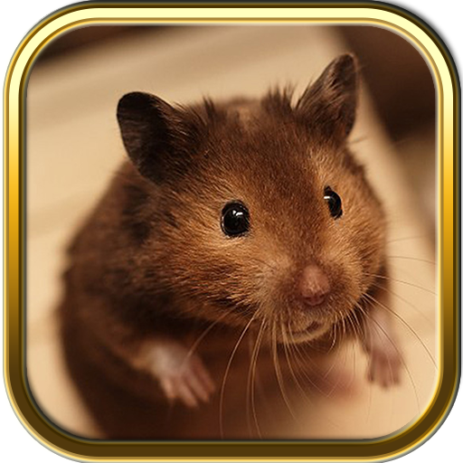 Hamster Jigsaw Puzzle Games - App on Amazon Appstore