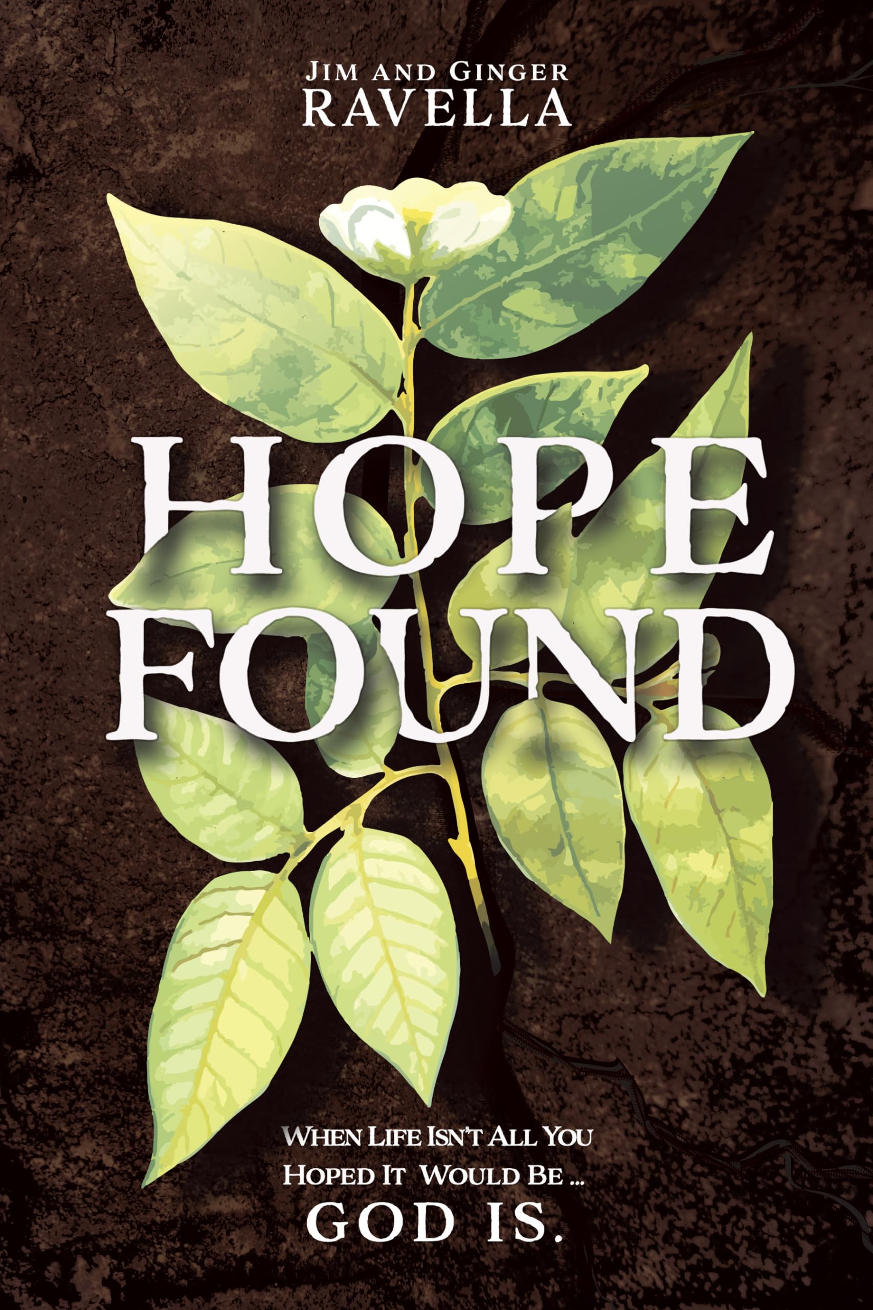 Hope Found: When life isn’t all you hoped it would be. God is.: Ravella ...