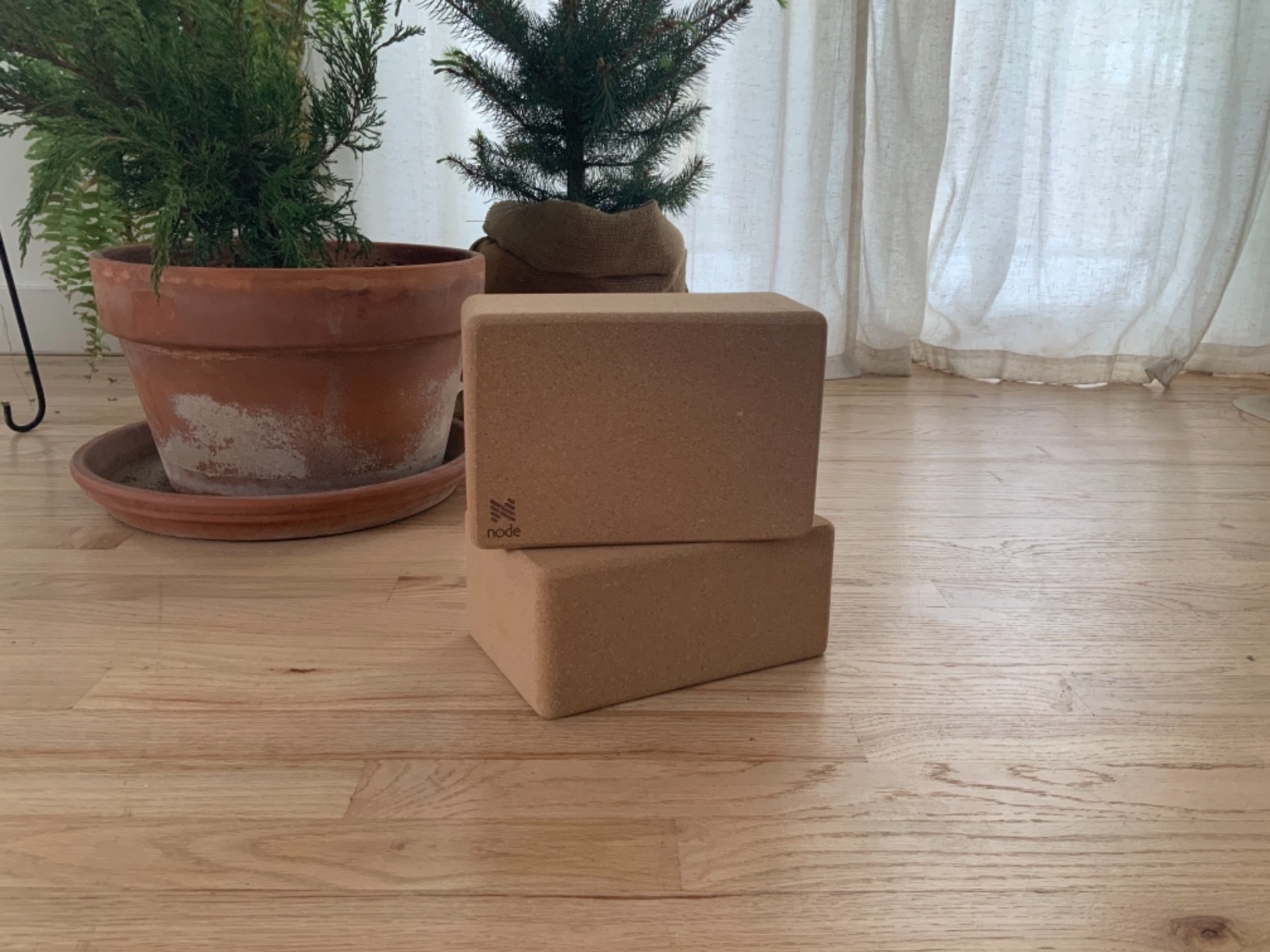 Amazon.com : Cork Yoga Block (Set of 2) - Solid Natural Cork Exercise ...
