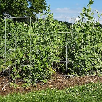 Amazon.com : H & E Associates Pea Fence Straw Bale Garden Expandable ...