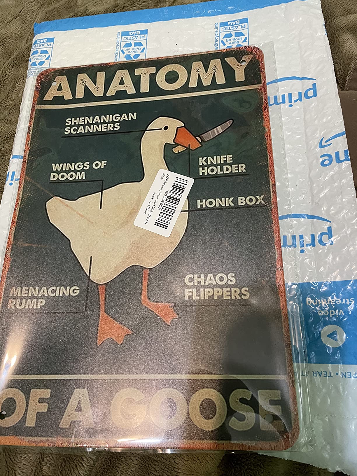 Amazon.com: ZZZRSYR Funny Novelty Metal Sign- Anatomy of A Goose ...