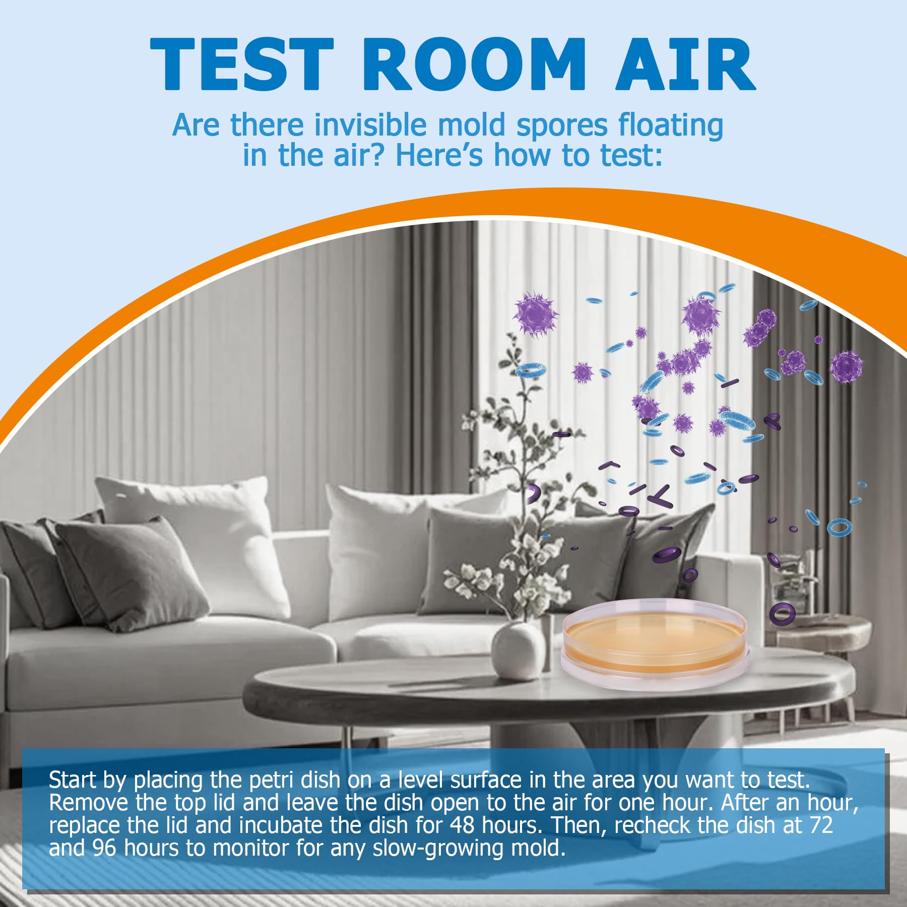 Snapklik.com : Mold Test Kit For Home Testing: 12 Counts DIY At Home ...
