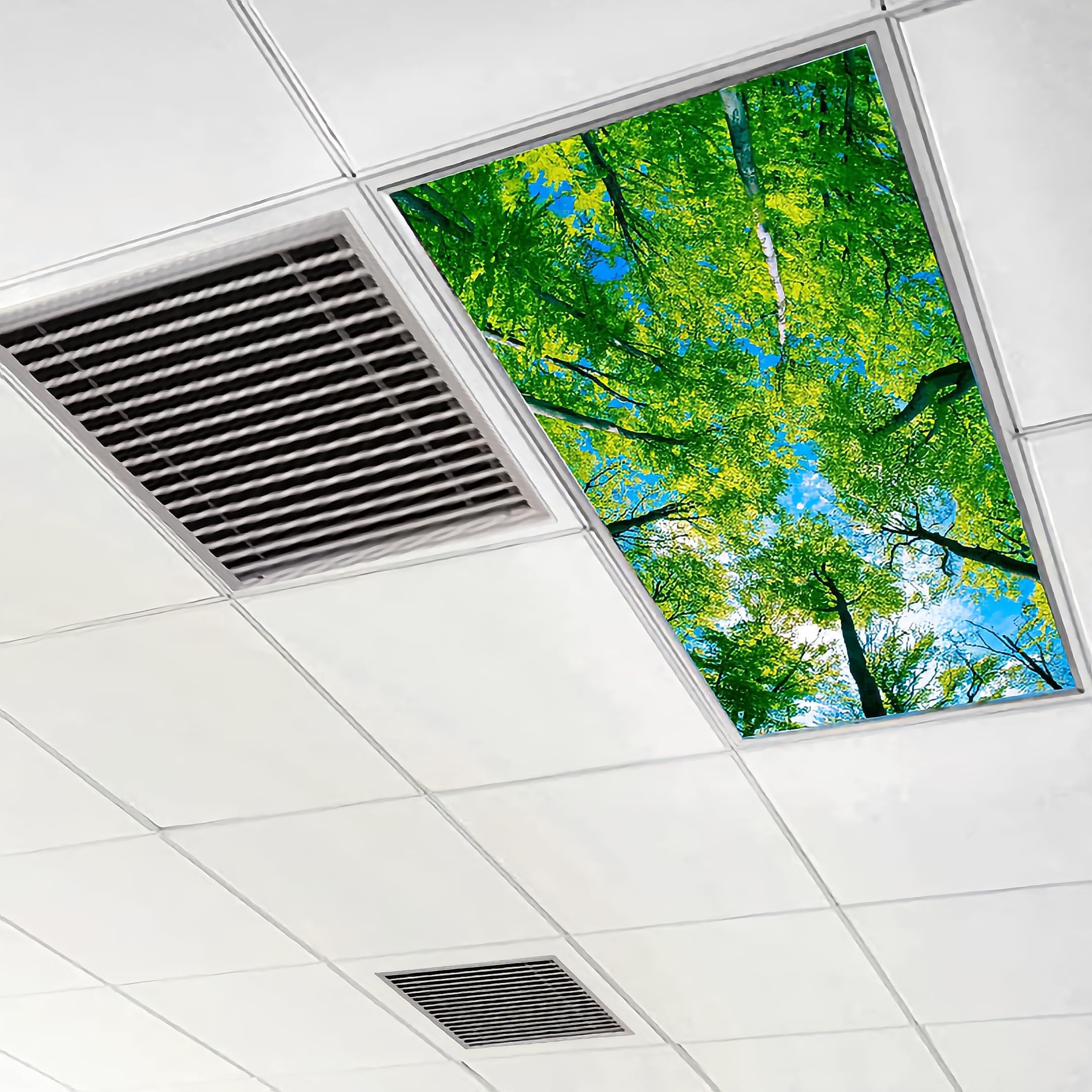 Classroom Light Diffusers