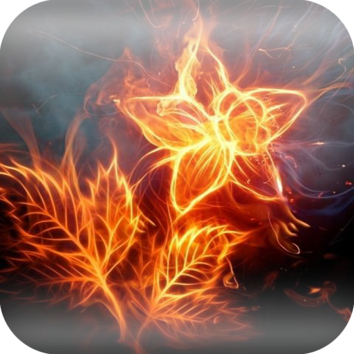 Fiery Flowers Wallpapers - App on Amazon Appstore