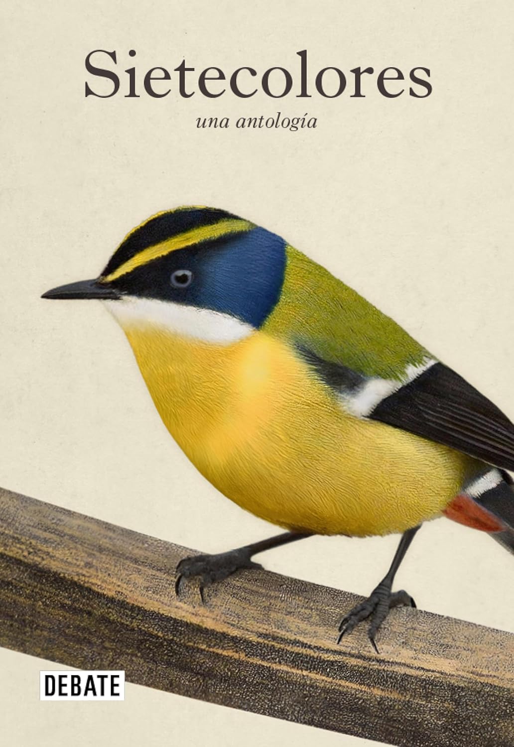 Sietecolores: Una antología (Spanish Edition) eBook : Darwin, Charles ...