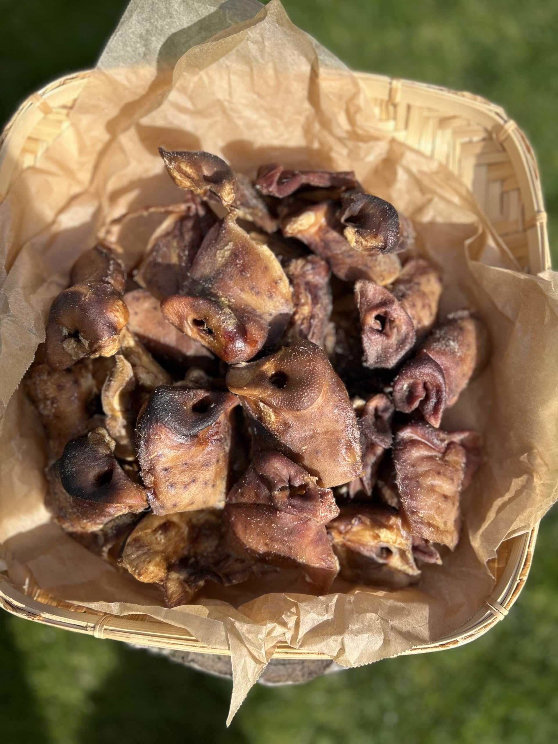 Son Las Orejas De Cerdo Mejores Para Un Airedale Terrier Que Las Orejas ...