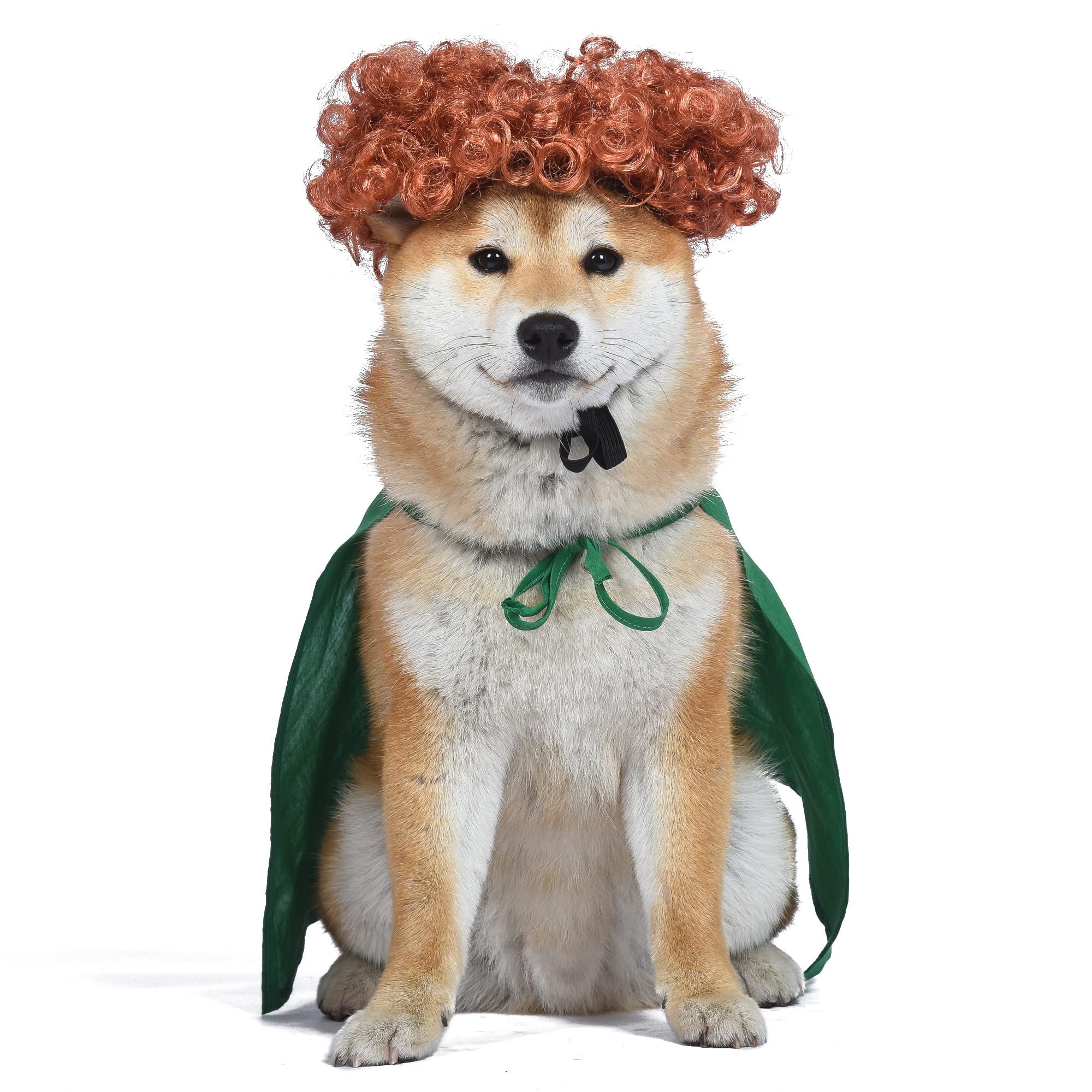 Snapklik.com : Disney For Pets Hocus Pocus Winifred Sanderson Dog ...