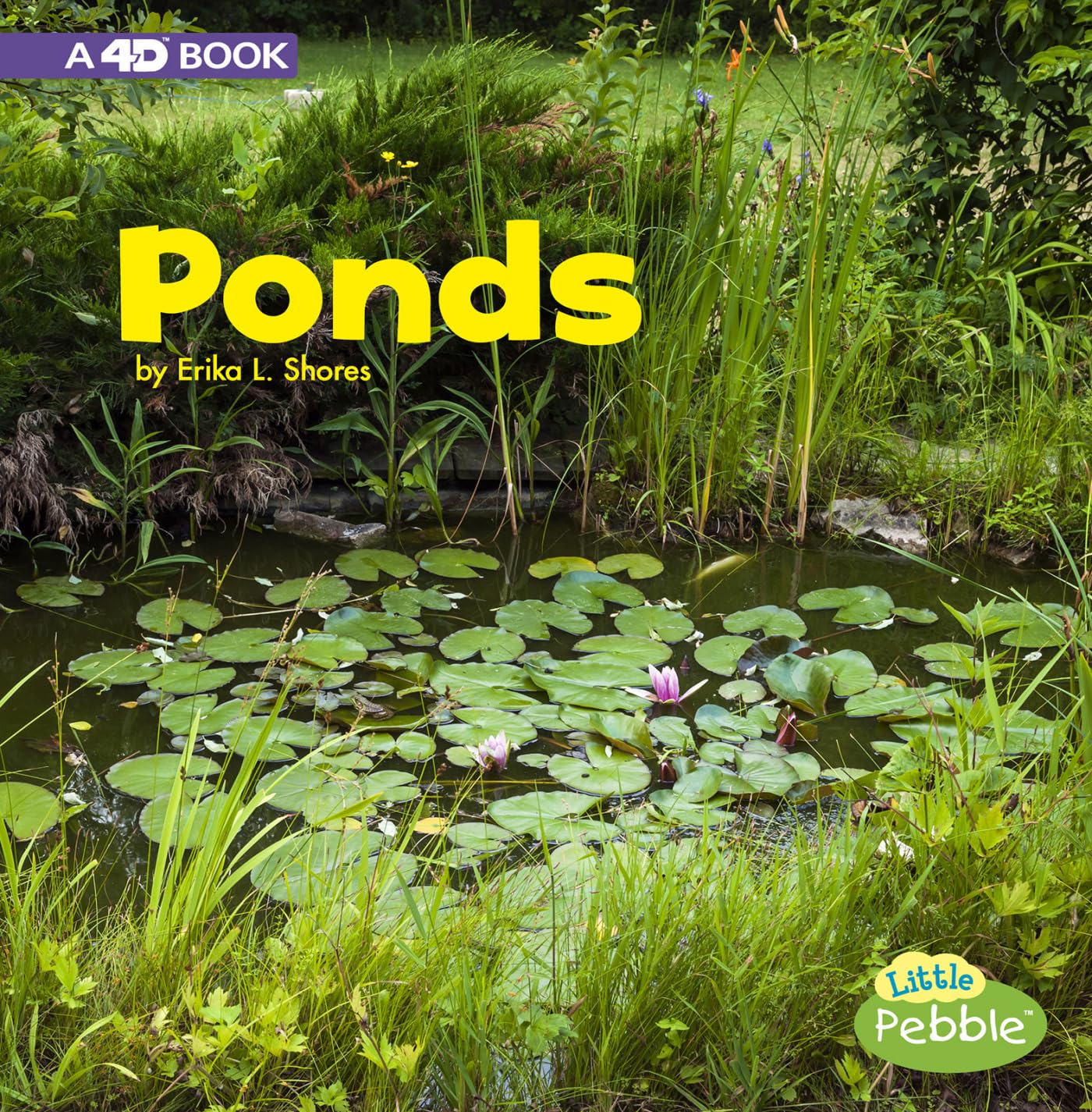 Ponds: A 4D Book (Bodies of Water) (Bodies of Water: Little Pebble ...