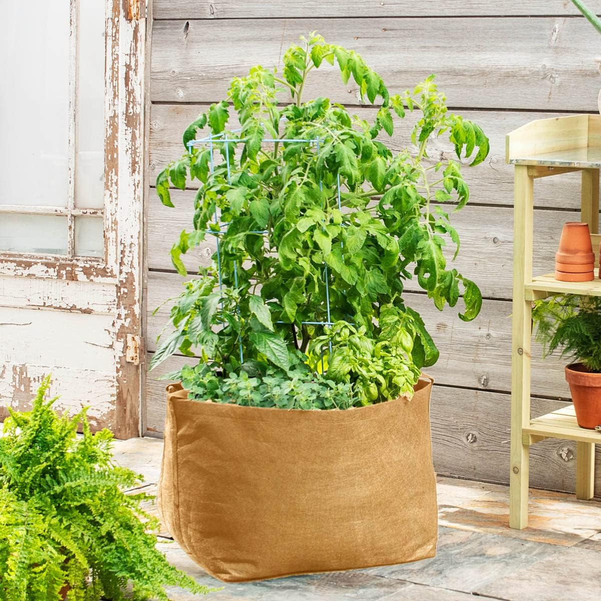 Amazon.com : Grow Tubs® Tan Fabric Garden Containers - Heavy Duty ...