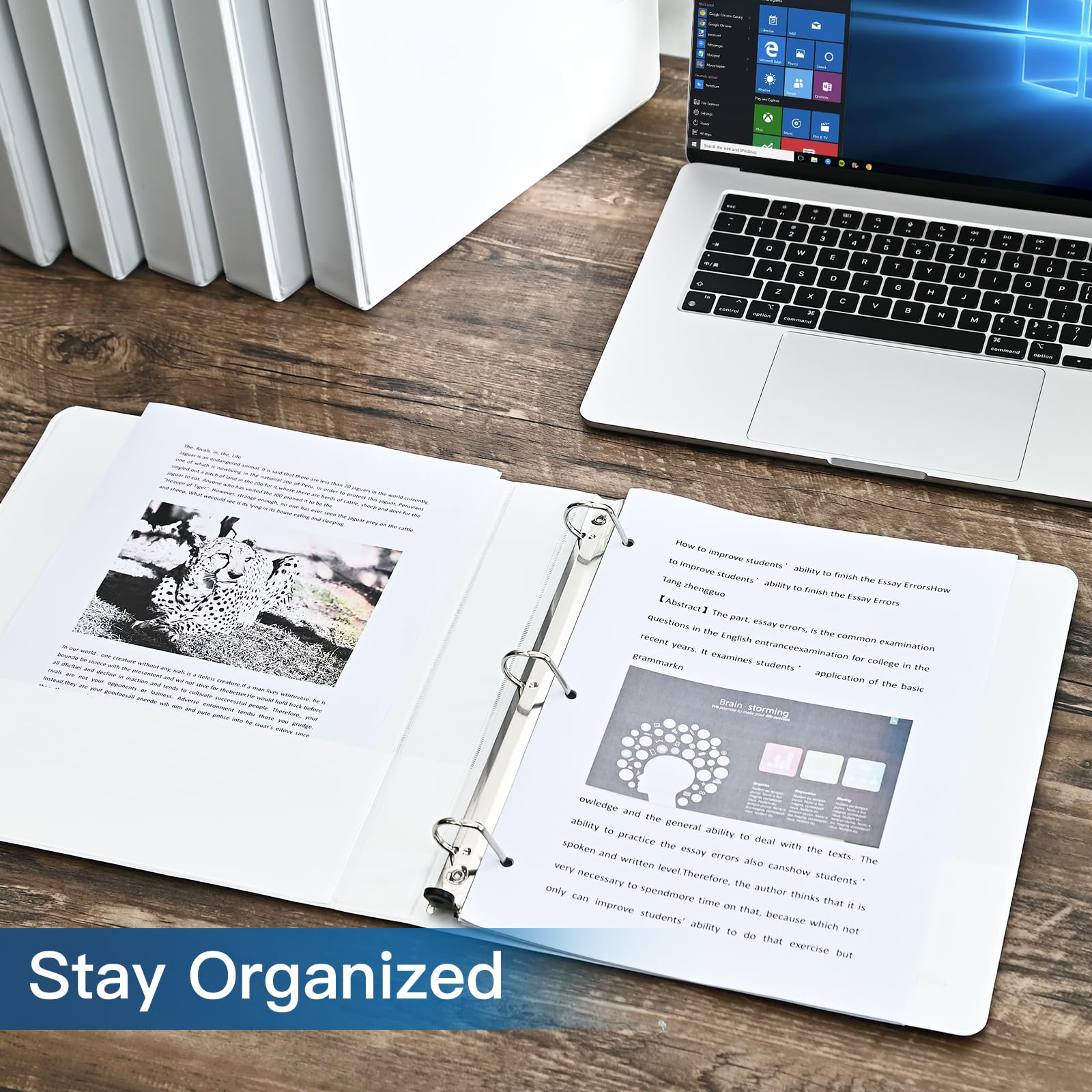 Snapklik.com : 3 Ring-Binders 1- Slant D Ring-Binder, 6 Bundle Packs Of ...