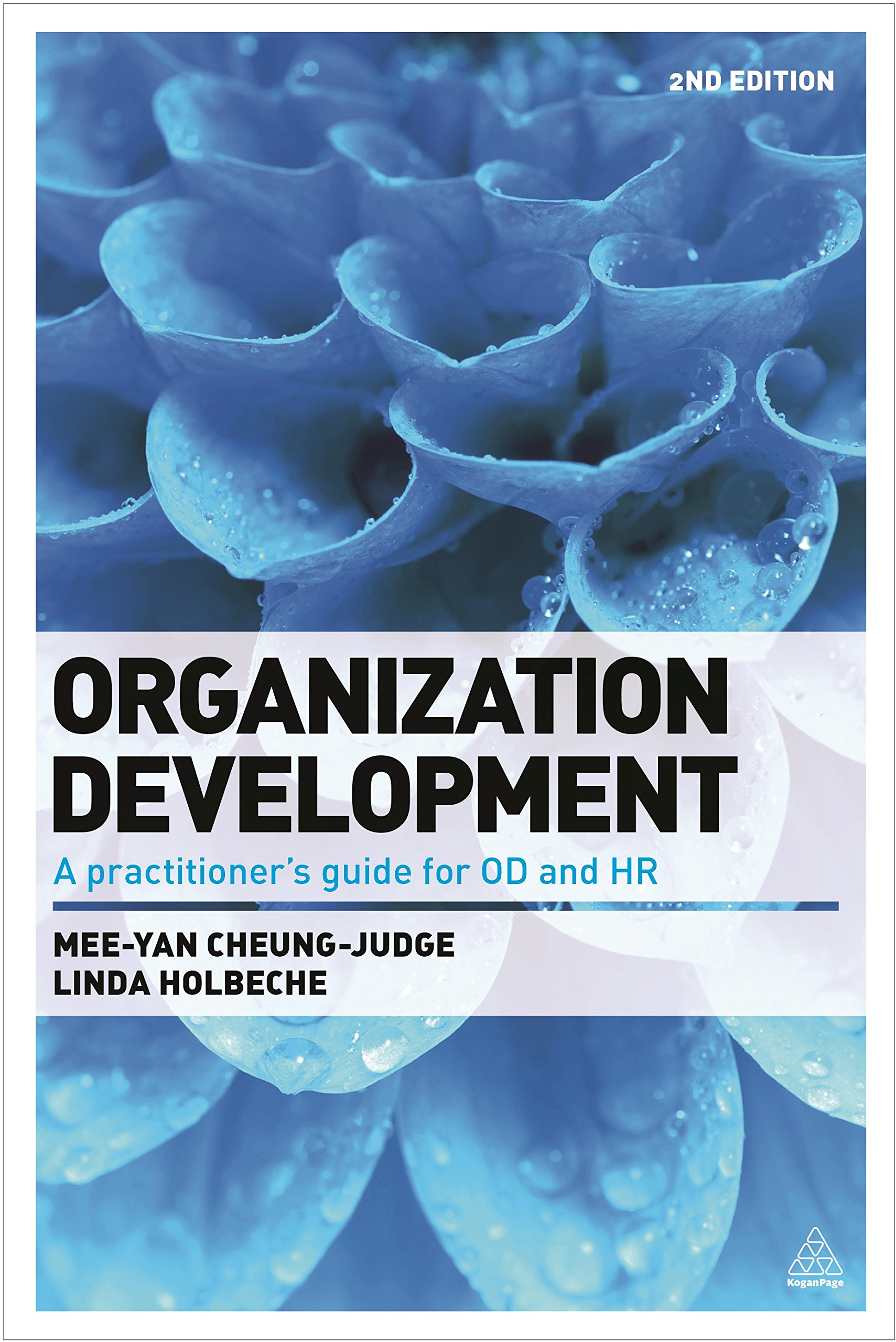 Amazon.com: Organization Development: A Practitioner's Guide for OD and ...
