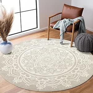 Carvapet Round Area Rug 120cm/4ft Soft Fluffy Circle Carpet Rug Short ...