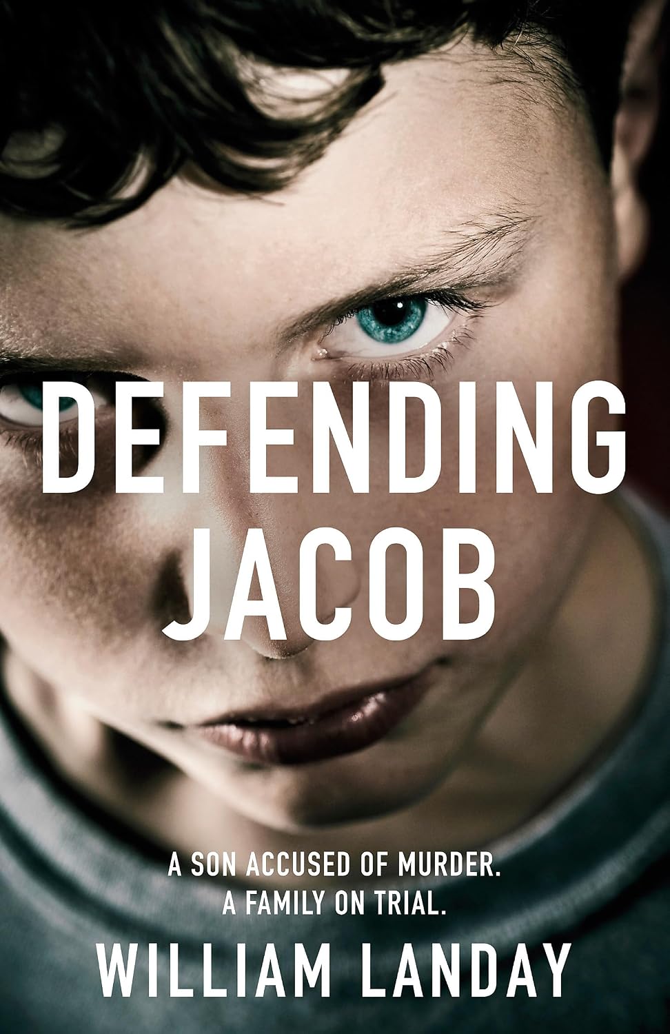 Defending Jacob : Landay, William: Amazon.co.uk: Books