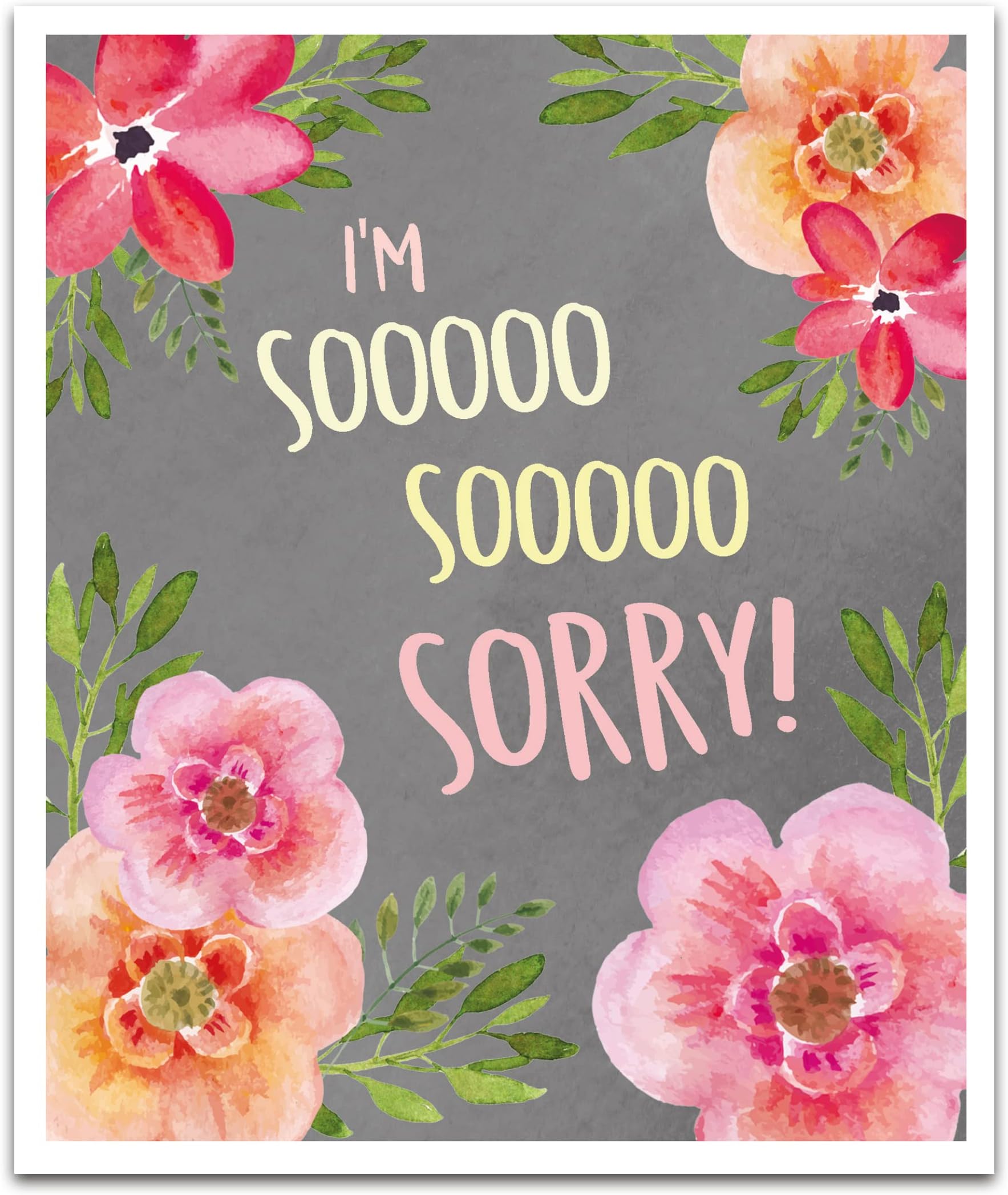 Twizler Sorry Card - I'm Sorry Card for Any Sorry Occasion - Flowers ...