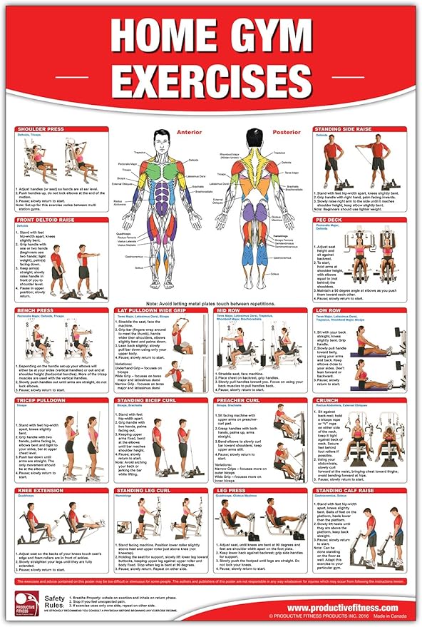 Home Gym Exercises Laminated Poster/Chart: Home Gym Chart, Home Gym ...