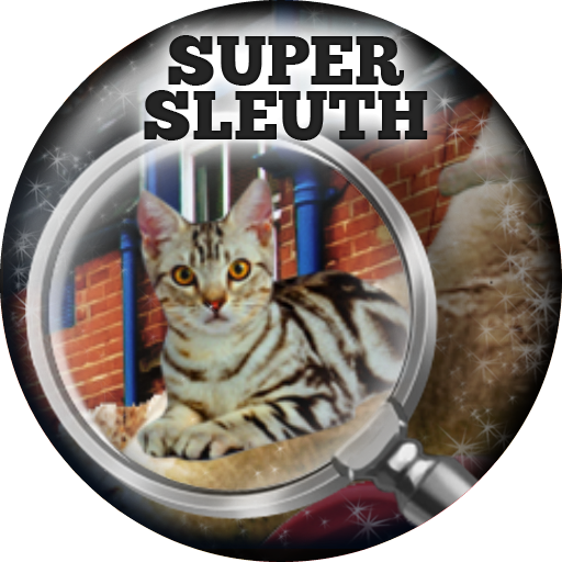Where Are My Cats Super Sleuth - App on Amazon Appstore