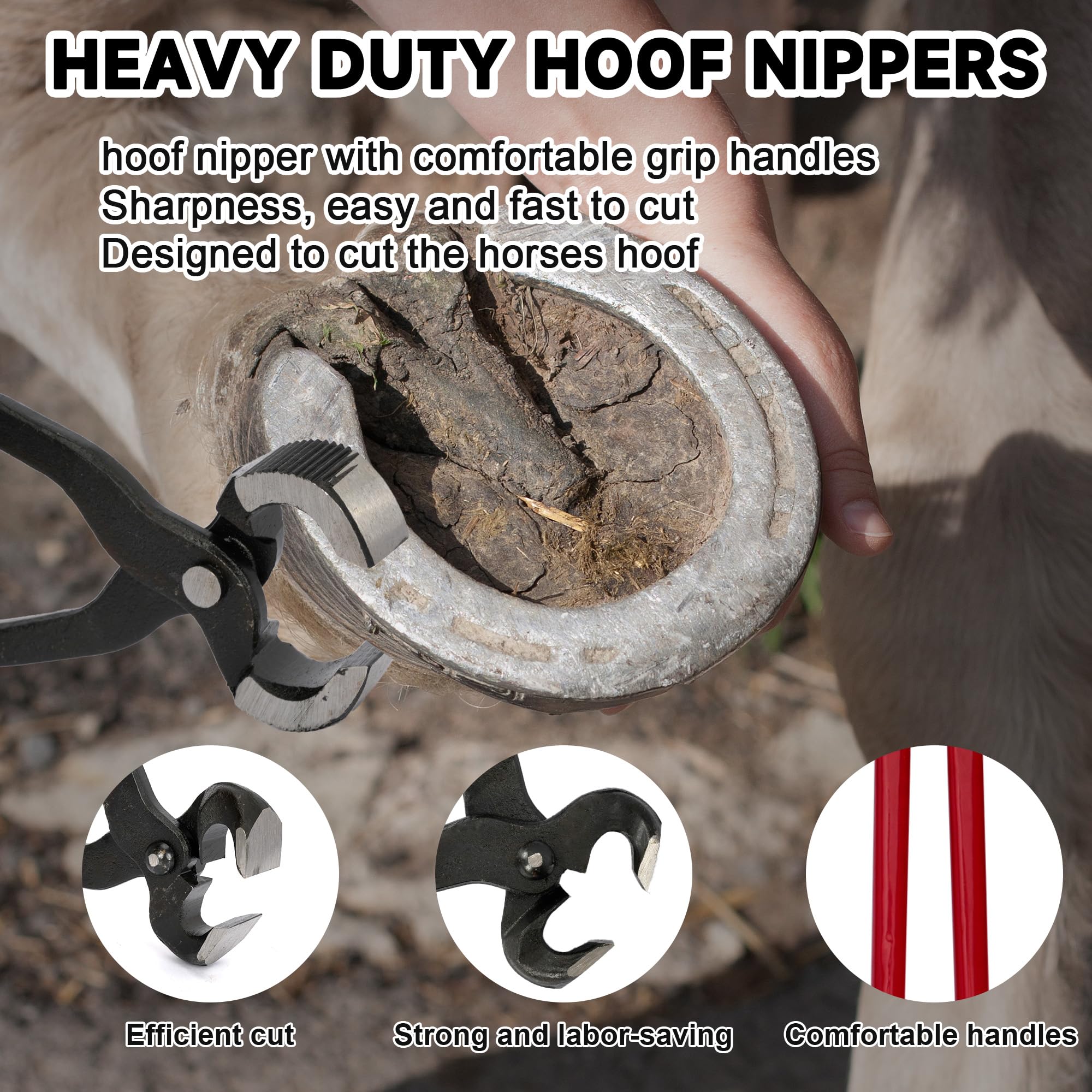 Snapklik.com : AIWFL 8pcs Farrier Tools Kit Hoof Nipper Horse Hoof ...