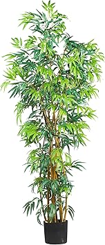 Amazon.com: Nearly Natural 6ft. Curved Bamboo Silk Tree : Home & Kitchen