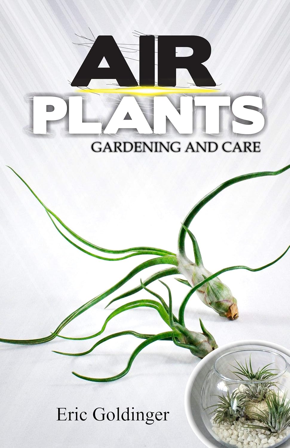 Amazon.com: AIR PLANTS GARDENING AND CARE: Complete Guide to Growing ...