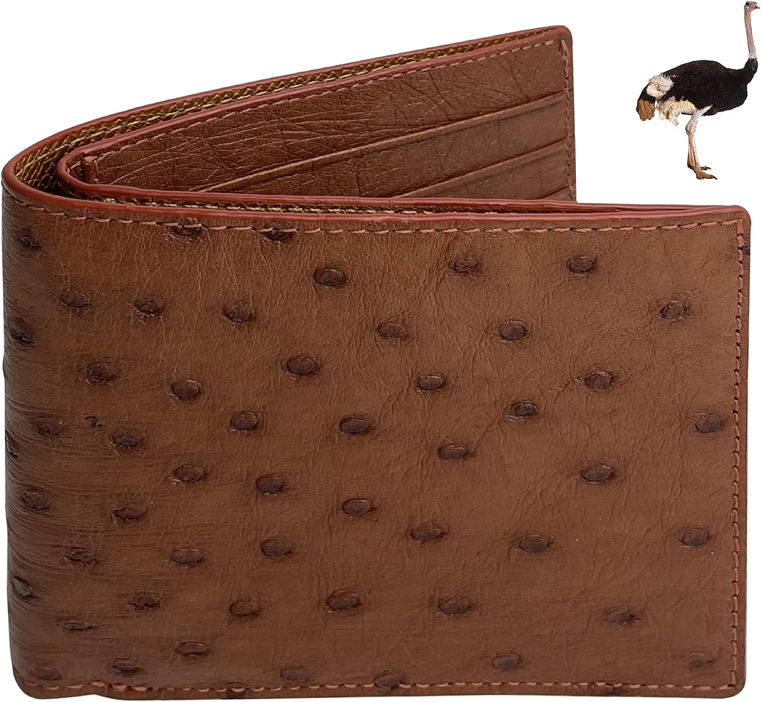 Amazon.com: vinacreations Light Brown Ostrich Leather Slim Bifold ...