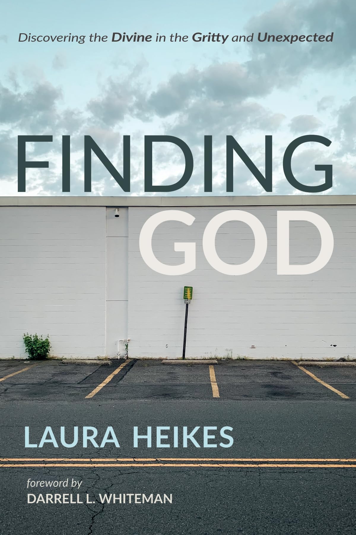 Finding God: Discovering the Divine in the Gritty and Unexpected ...