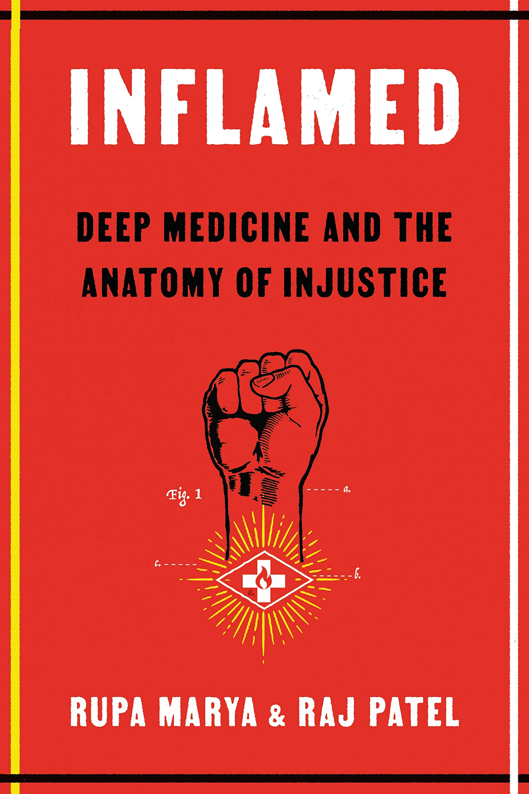 Inflamed: Deep Medicine and the Anatomy of Injustice: Marya, Rupa ...