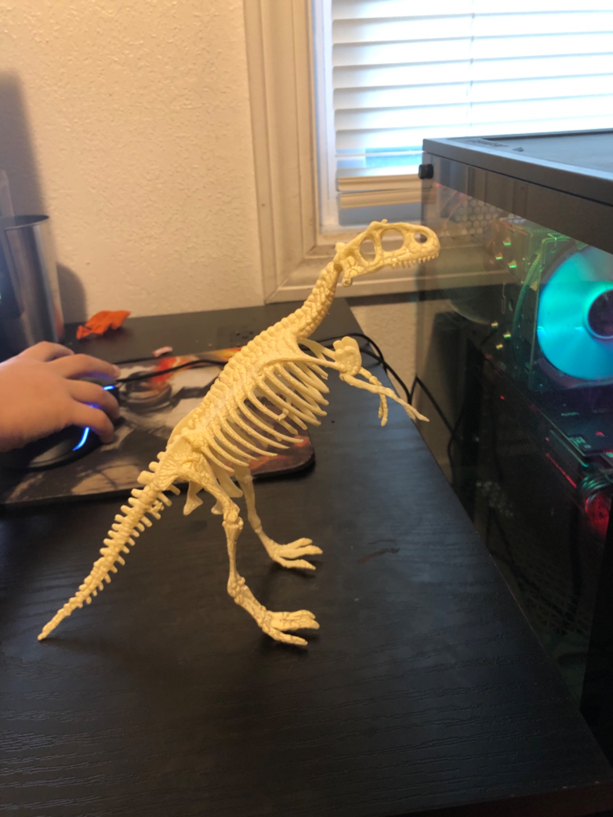 Amazon.com: DIY Dinosaur Excavation Kit - Dino Fossil Kit - Dig Up ...