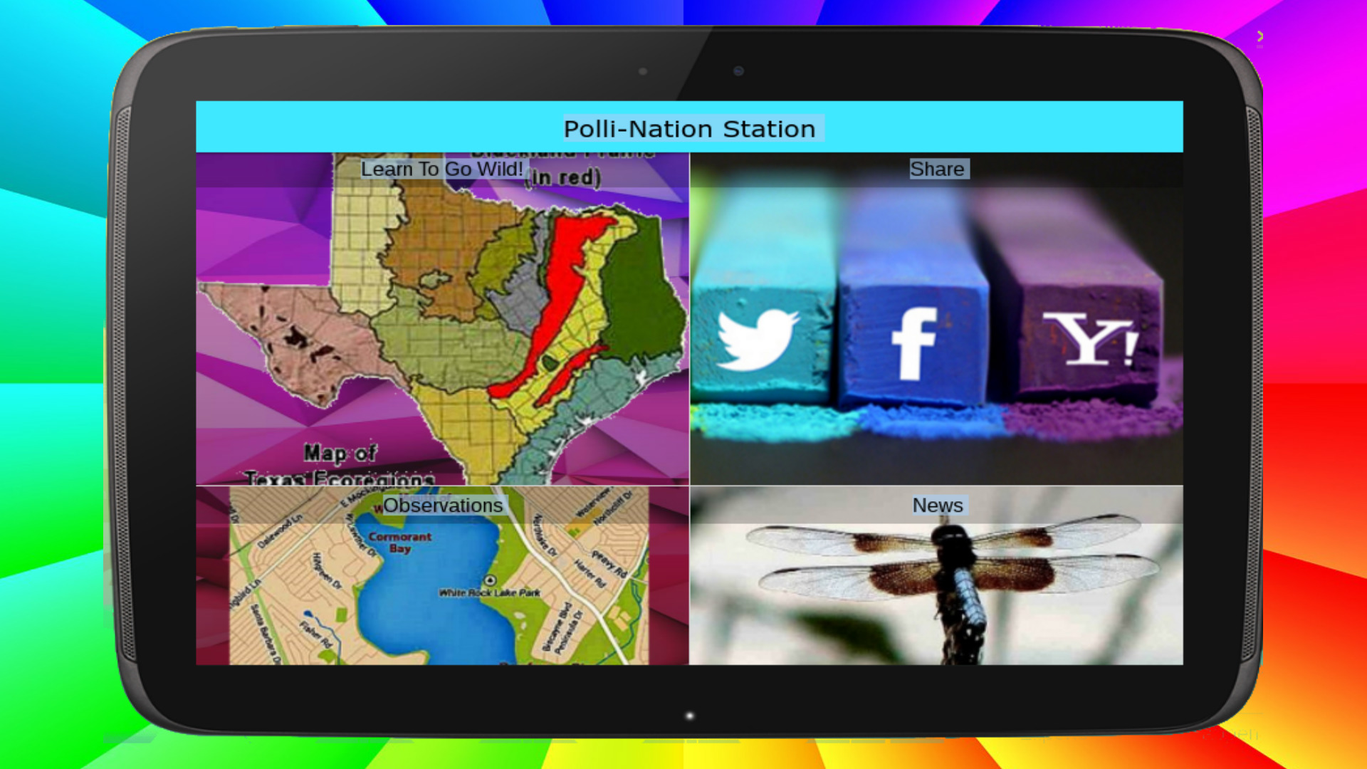 Polli-Nation Station:Amazon.de:Appstore for Android