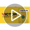 Amazon.com: Victor Rat Poisoning for Inside & Outside Use - Kills Rats ...