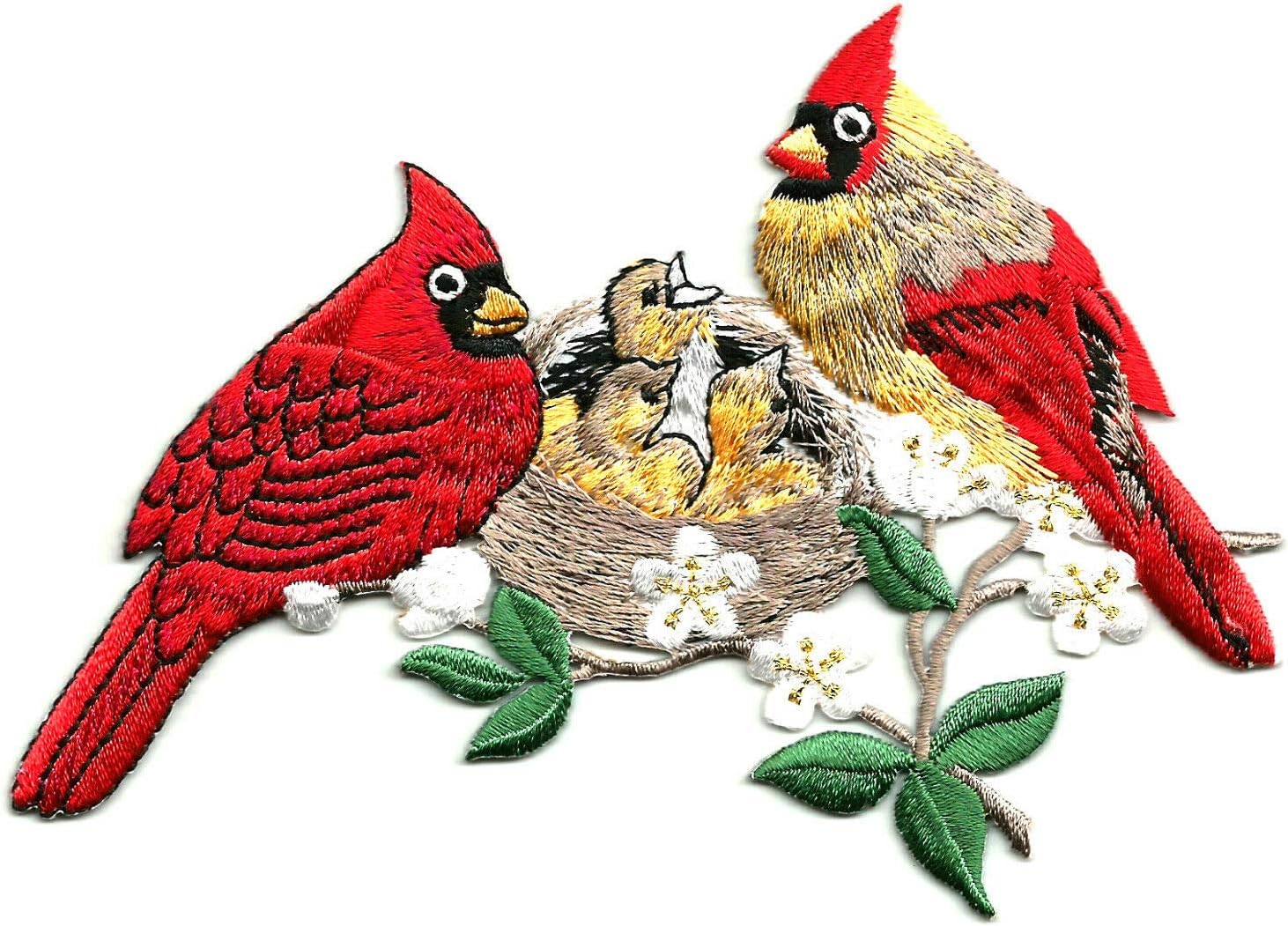 Amazon.com: Iron On Decorative Applique Patches - Cardinal - Birds ...