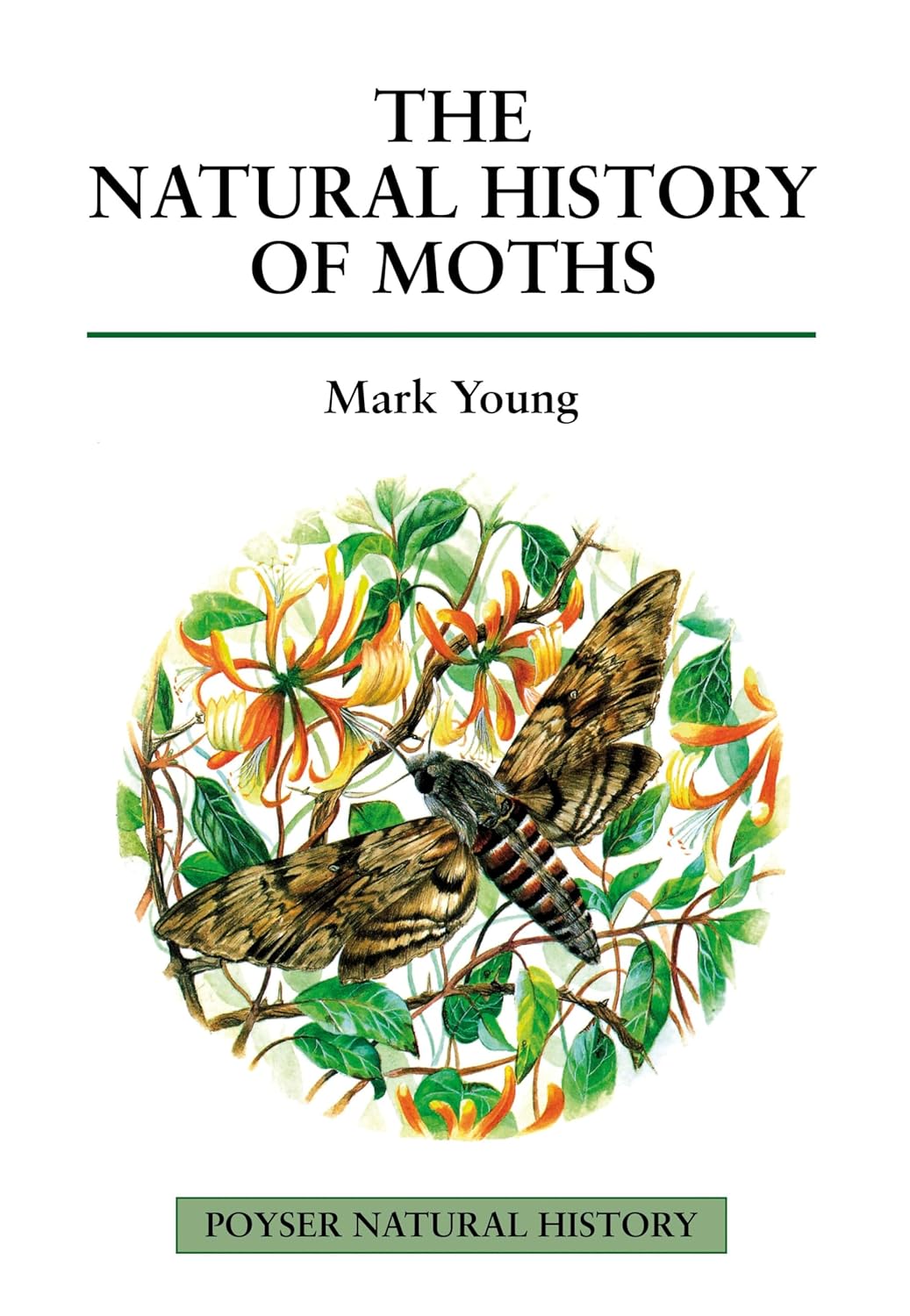 The Natural History of Moths (Poyser Monographs) 1, Young, Mark, Wells ...