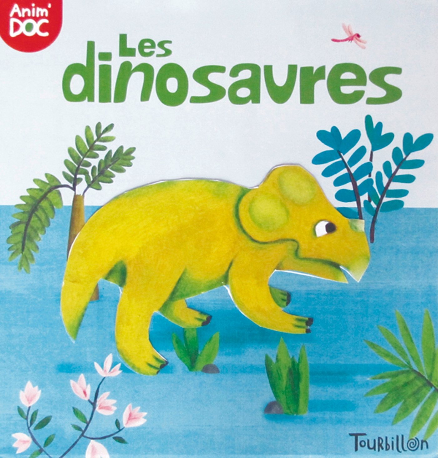 Amazon.com: Les Dinosaures (Tb.Anim'doc) (French Edition ...