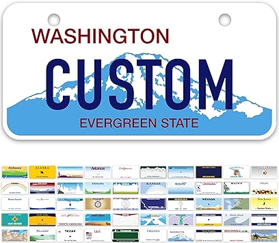 Amazon.com: Mini License Plates, Personalized License Plates, Custom ...
